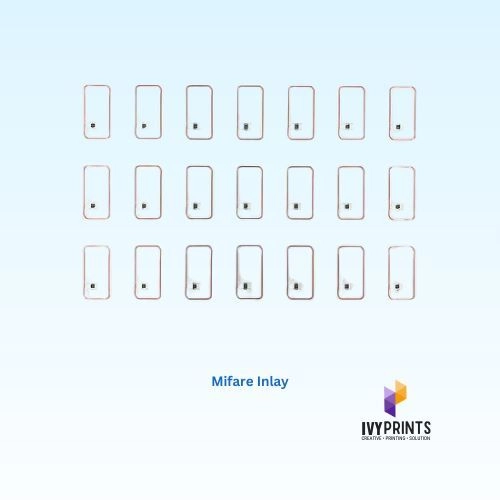 IVY Prints Jaipur - Custom Printing Services